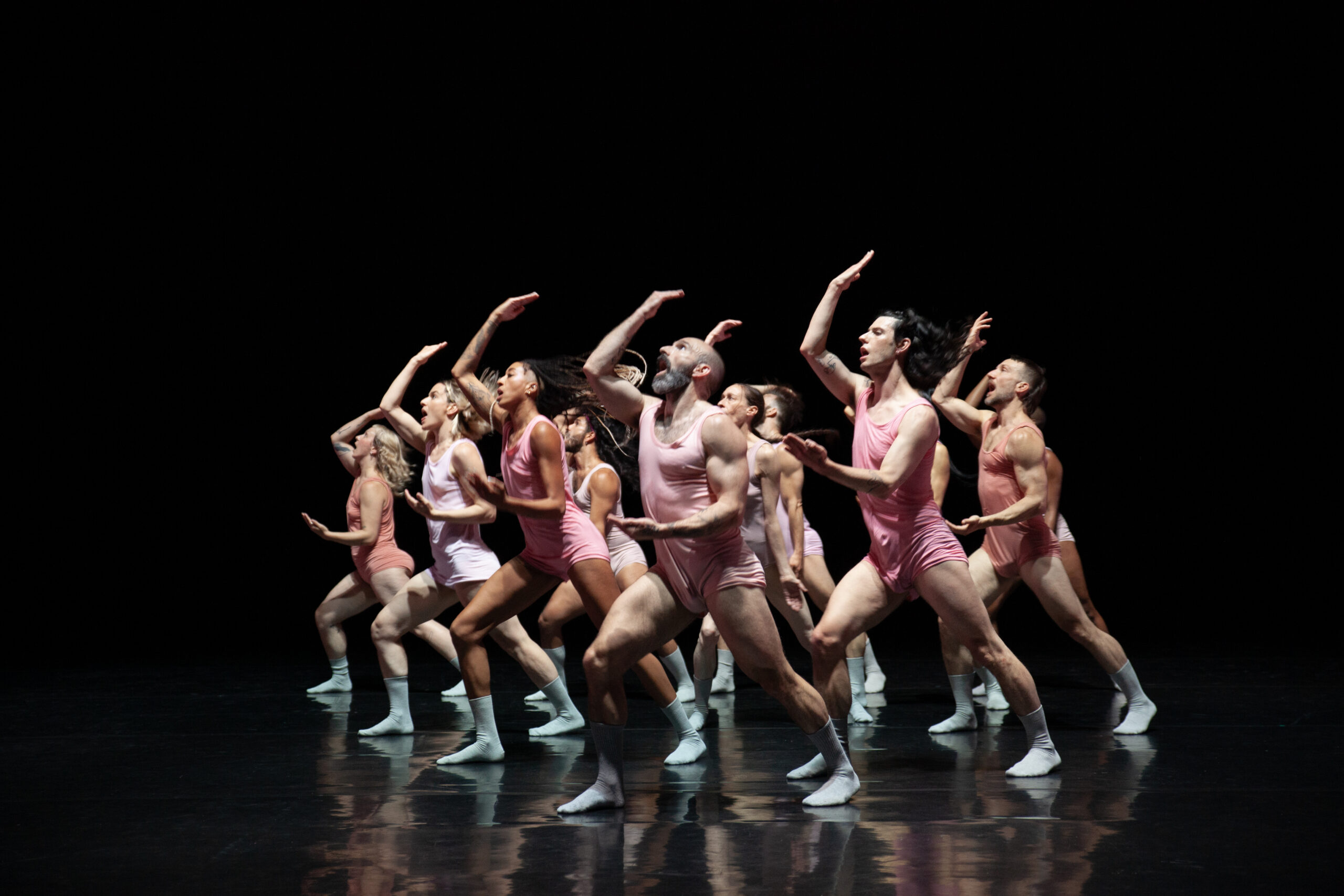 Compagnie Catherine Gaudet (Montreal) - DanceHouse